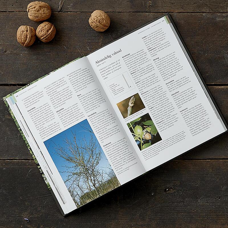 Danmarks træer og buske | Håndbog om dansk natur